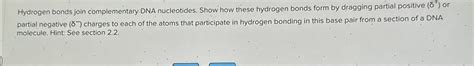 Solved Hydrogen Bonds Join Complementary Dna Nucleotides