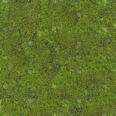 深绿色苔藓背景