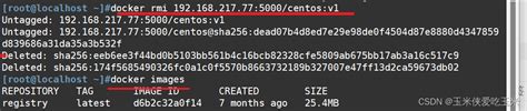 Docker harbor私有仓库部署与管理 阿里云开发者社区