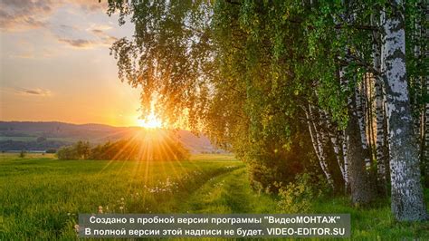 родные просторы - YouTube