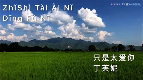 只是太爱你 丁芙妮【zhǐshì Tài Ài Nǐ】pinyin Lyricsmm Sub And Simplified Chinese