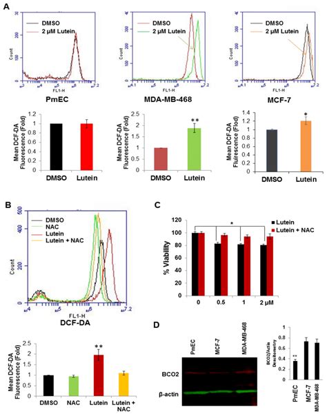 Effect Of Lutein On Intracellular Ros Production In Human Normal And