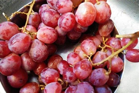 Qué Son Los Hollejos Del Vino Y Para Qué Sirven