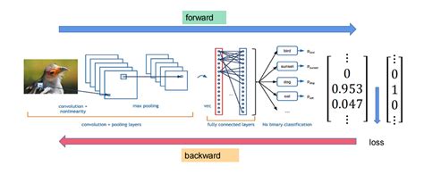 深度学习05——图像分类深度学习 图像分类 Csdn博客