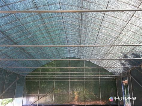 강원도 평창 48mm 구조 폭 10m 창고형 비닐하우스 제작 설치 네이버 블로그