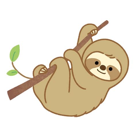 ナマケモノイラスト