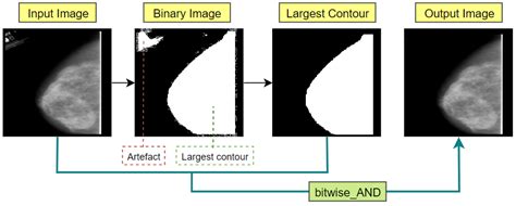 Biology Free Full Text An Effective Ensemble Machine Learning