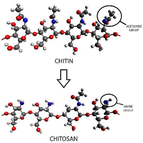 Deacetylation Process For The Production Of Chitosan From Chitin