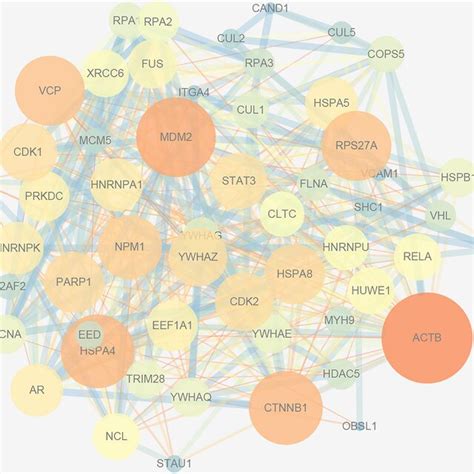 PPI Network Of Common Target Proteins Visualization Via Cytoscape
