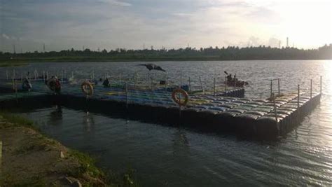 Hdpe Plastic Pontoon Floating Jetty POLYFLOATS At Rs Square Meter Hdpe Floating Docks In