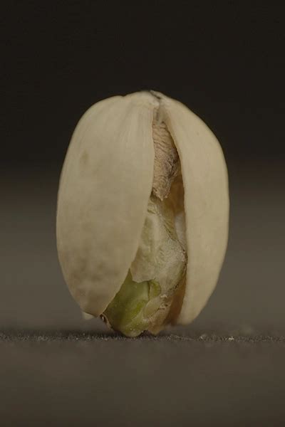Jumbo In Shell Open Pistachio Kalle Ghouchi Yuncheng