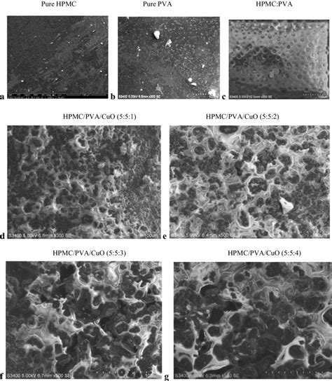 Sem Photographs Of Hpmcpva Cuo Polymer Electrolyte Films Download