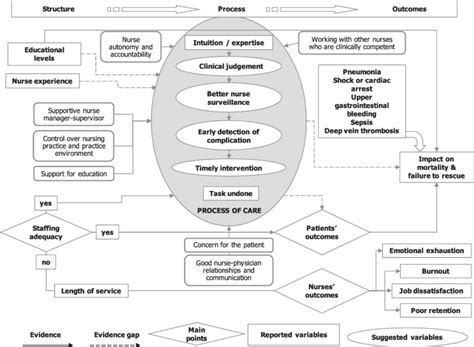 Tentative Logic Model Nurse Staffing And Patientnurse Outcomes Note