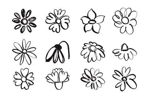 그런 지 꽃 머리 컬렉션 손으로 그린 검은 잉크 절연 흰색 배경 Doodle 허브 실루엣의 드라이 잉크 스트로크 필드 식물의