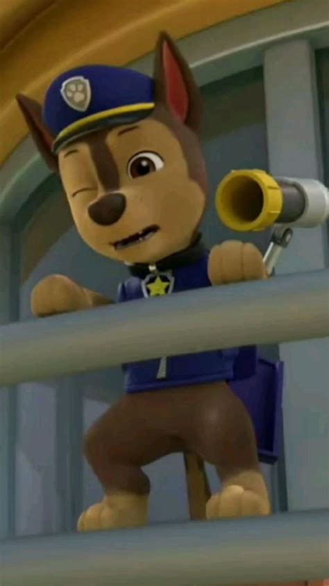 Paw Patrol Chase