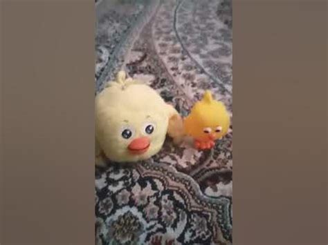 цыпы🐥🐤🐣🐔 - YouTube