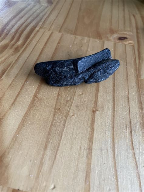 Possible Bone Fragment Found On The Beach R Fossilid