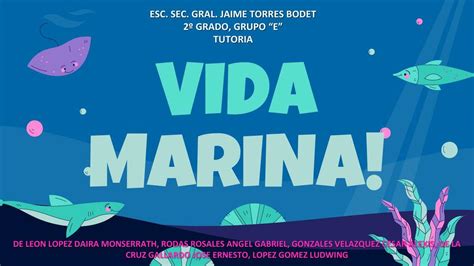 Vida Marina Judith Del Carmen De Leon Lopez Udocz