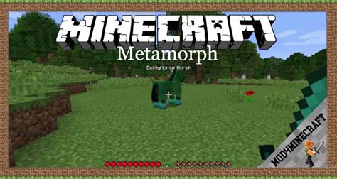 Metamorph Mod 1 12 2 1 11 2 1 10 2