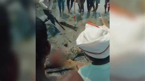 Crocodile Kills 14 Year Old Bihar Teen Beaten To Death By Villagers
