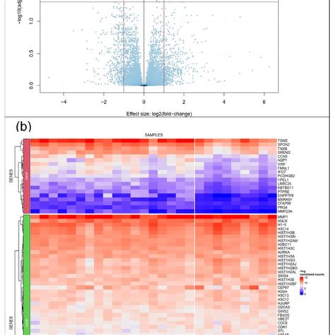 Fgsea Pathway Analysis Revealed Significantly Regulated A Kegg And