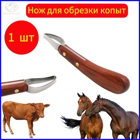 1 шт нож для обрезки копыт подходит для крупного рогатого скота лошадей овец и другого