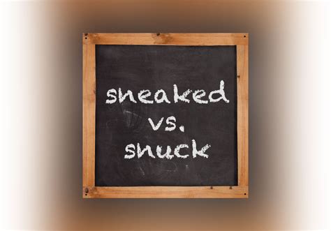 Snuck Or Sneaked Everything After Z By Dictionary