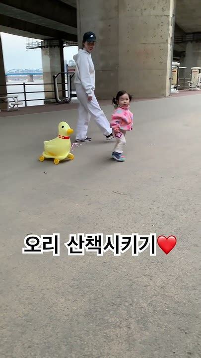 매일 오리 산책🐥💕 바쁜 하루😆 ️ Youtube
