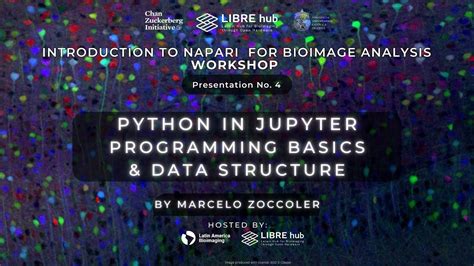 Python Programming Basics Data Structures Marcelo Zoccoler YouTube