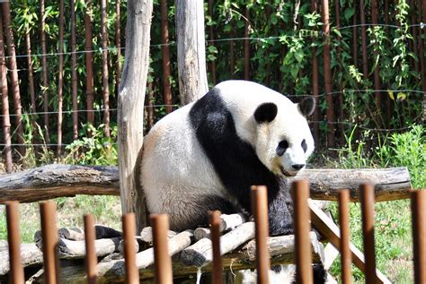 Pandas From Basic To Advanced For Data Scientists By Sampath Kumar