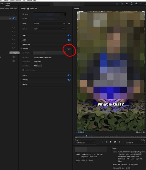 export ignores captions settings and always burn adobe community