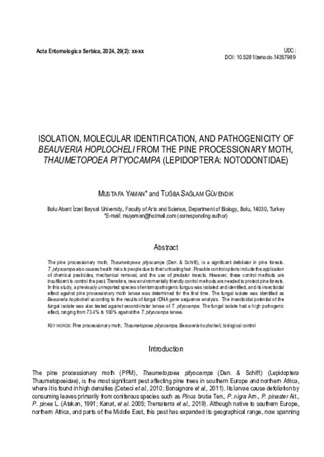 Pdf Isolation Molecular Identification And Pathogenicity Of Beauveria Hoplocheli From The