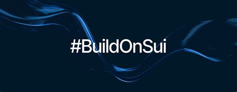 Sui Developer Portal Is Here