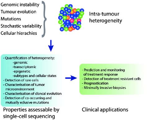 The Role Of Single Cell Molecular Phenotyping In Characterization Of Download Scientific