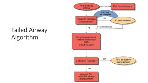 Airway Algorithmpptx