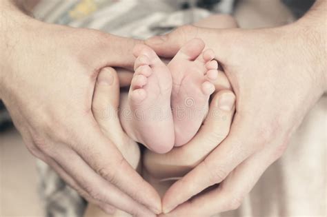 Ноги младенца в руках мати Ноги на крупном плане рук женского сердца
