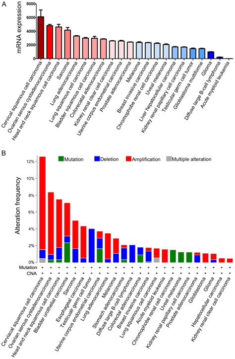 Expression Of Yes Associated Protein And Its Clinical Significance In Ovarian Serous