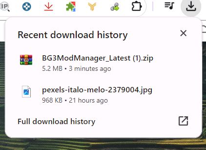 Download BG3 Mod Manager V1 0 12 0 Official