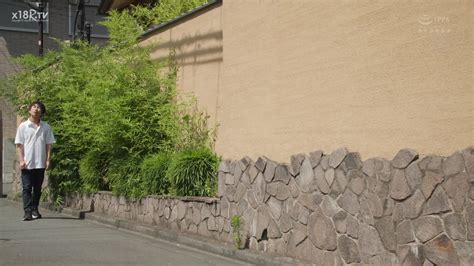 Juq 125 ド田舎に里帰りしてきた僕は、暇を持て余す近所の絶倫奥様にず～っと連続搾精され続けて。 白石茉莉奈