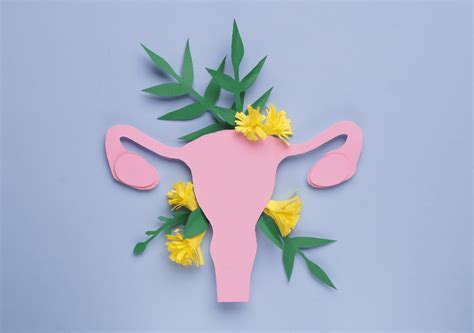 Progesterone Impact On Your Period Fertility And Pregnancy Binto