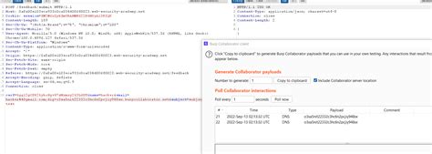 Os Command Injection Vulnerabilities Các Lỗ Hổng Command Injection