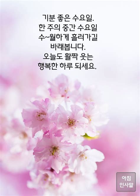 한 주의 중간 수요일 수요일 아침 인사 좋은 아침 이미지