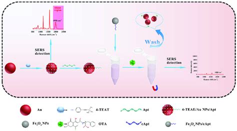 Schematic Representation Of The Principle For The Alkyne Mediated Sers Download Scientific