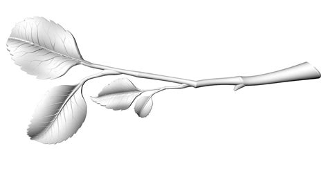 Leaves Branch 3d Model Cgtrader