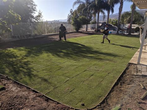 Cr0ntabs Zeon Zoysia Lawn Journal Page 2 Lawn Care Forum