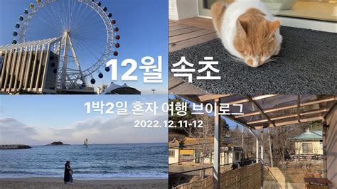 12월 속초 1박2일 혼자 여행 브이로그 Youtube
