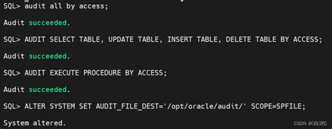 开启数据库审计并将审计文件存放到自定义目录下 audit all by access csdn博客