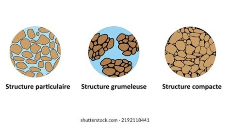Granular Soil Structure Granular Soil Structure