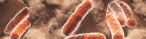 C Difficile Infection Superior Performance Diagnostics With Maripoc