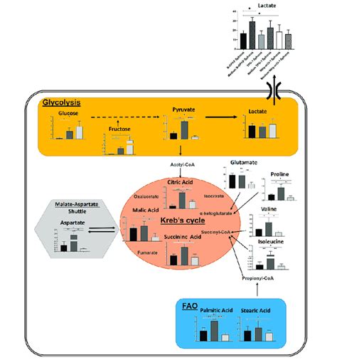 Summary Of The Most Perturbed Pathways Involved In The Metabolomics
